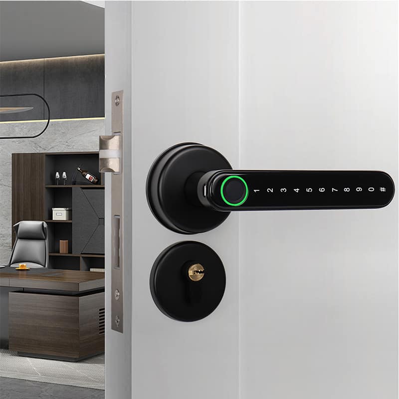 SMART DOOR LOCK-SM002-S01 - Bracha Select